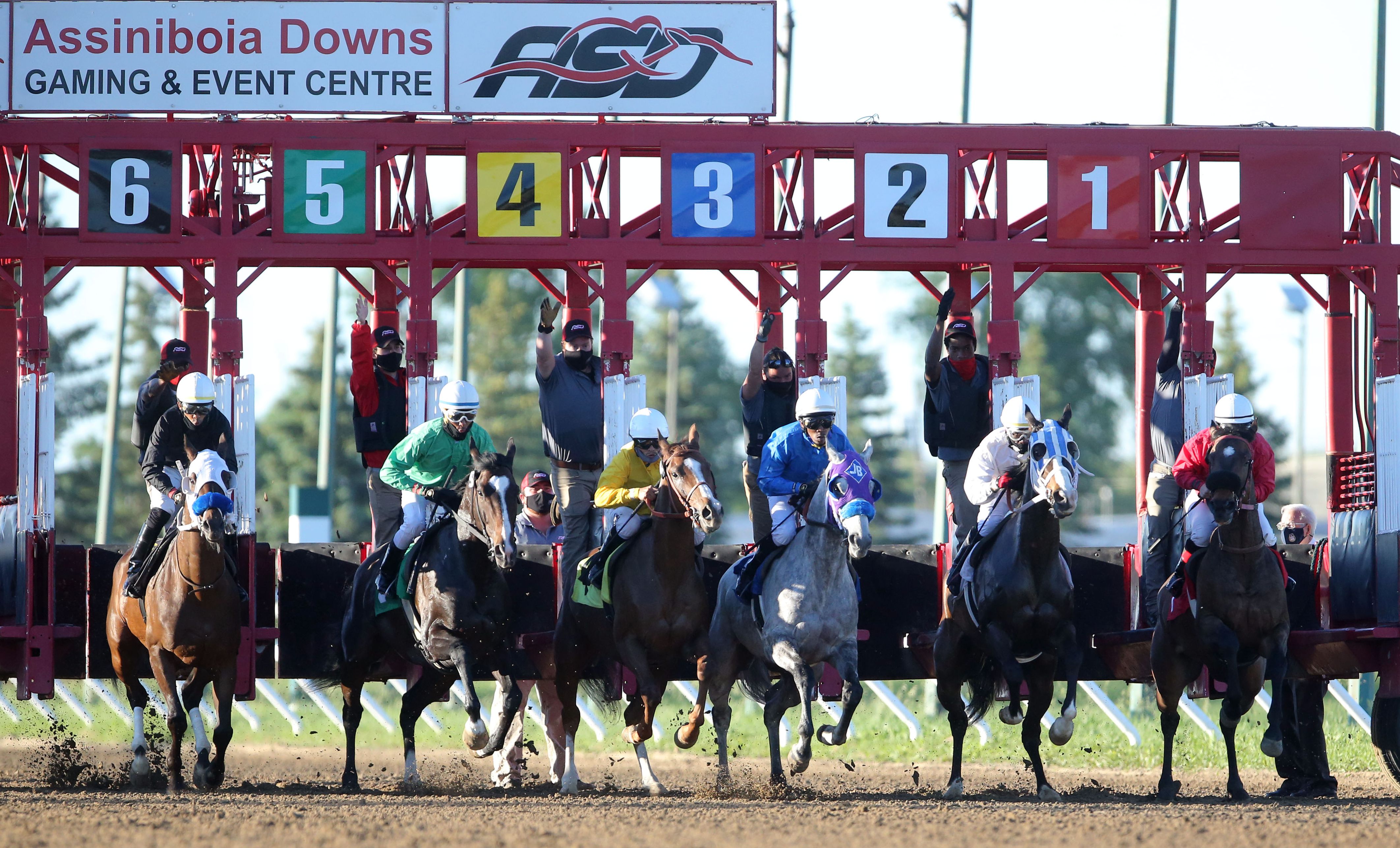 Assiniboia Downs Racetrack: Picks, Horse Racing News, & More